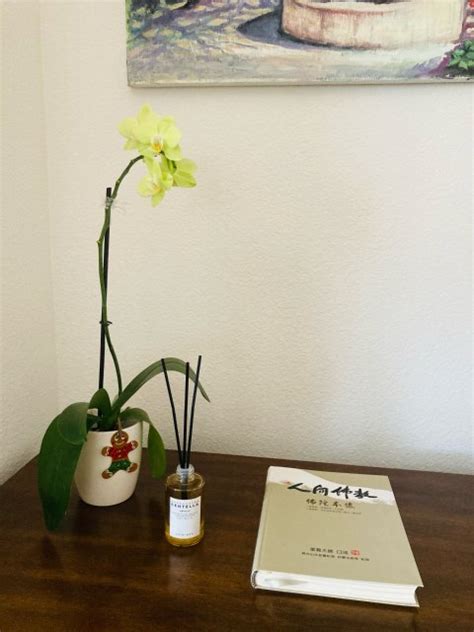 自制香薰 社区彩妆精选