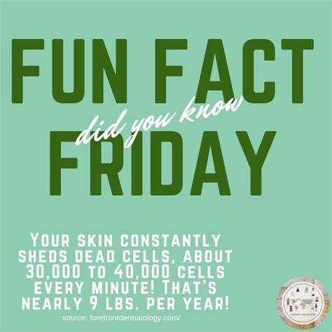 Fun Fact Friday Fun Fact Friday Fun Facts Bruce Vrogue Co