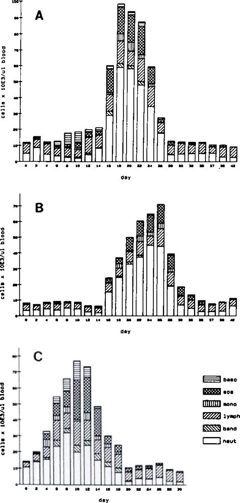 Basophils Definition