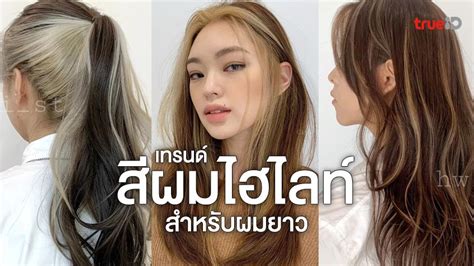 4 เทรนด์สีผมไฮไลท์ 2024 สำหรับผมยาว ได้ลุคปังๆ ไม่มีตกเทรนด์