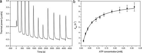 Determination Of Kinetic Parameters By Itc A Titration Experiment