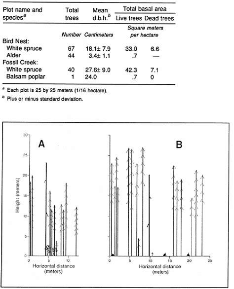 Height Profile Height And Canopy Shape Of All Trees In A Strip 10 M Download Scientific
