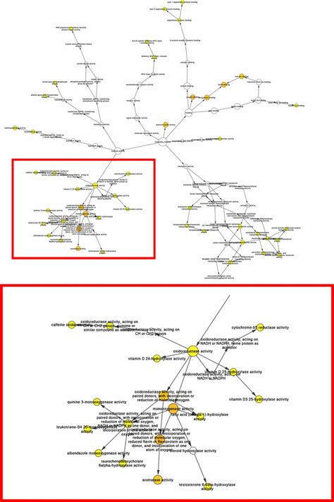 Biological Processes Enriched By Genes Identified By Predictive Models