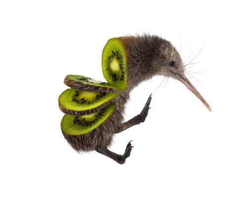 Interview Sarah Deremer The Expat Artist Behind Last Years Viral