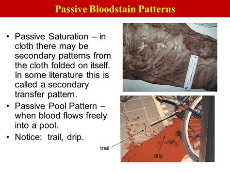 Bloodstain Pattern Analysis Ppt Video Online Download