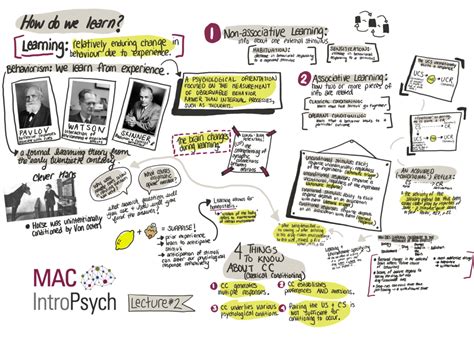 Diagram Of 02 Classical Conditioning Quizlet