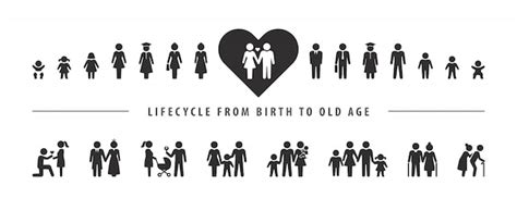 Premium Vector Life Cycle And Aging Process