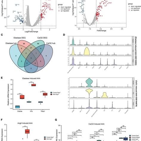 Validation Of The Gene Expression And Serum Protein Level Boxplot