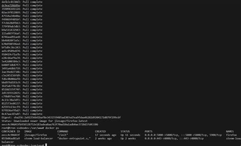 Using Docker To Run Firefox As A Proxy A Simple Solution For Accessing Blocked Websites In