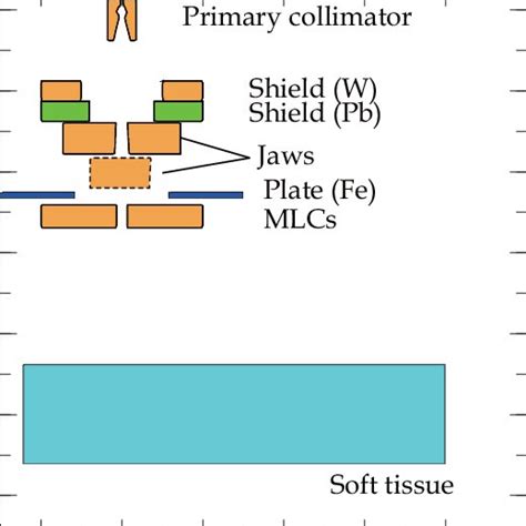 Cross Sectional Y Z View Of Phits Geometry For Photon Beams From The Download Scientific