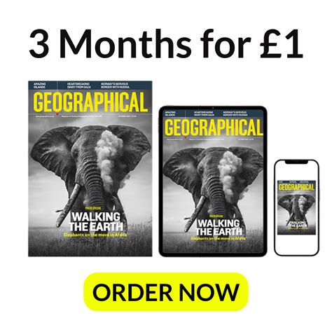 How Do Trees Wake Up In The Spring Geographical