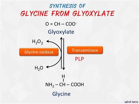 Metabolism Of Glycine