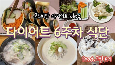 Diet Vlog 고도비만 다이어트 브이로그 닭가슴살 키토김밥 만들기 클린 식단 먹다가 배달음식 먹고 등산하고 외식하는 주말