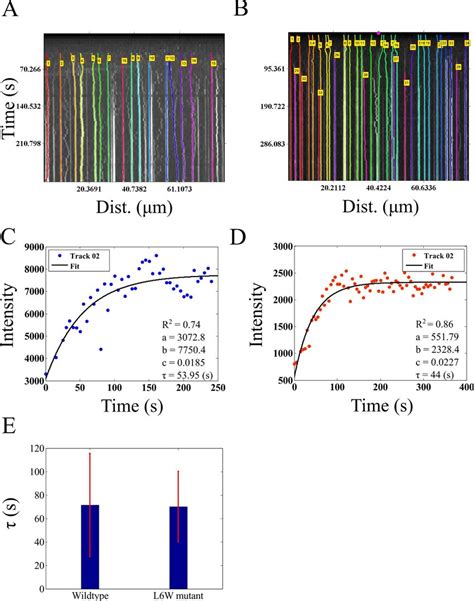 Dynamics Of Clathrin Assembly A B Microscopy Time Series Taken From Download Scientific