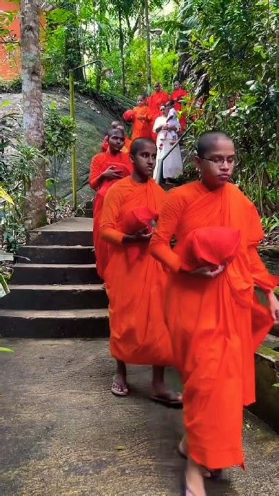 මෙහෙණින් වහන්සේලා මේ පින්වත් දසුන ඔබත් දැක බලාගන්න 🙏🙏🙏 Youtube