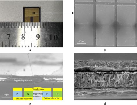A Photograph Of An Actual Fabricated MEMS Device B SEM Image Of The Download Scientific