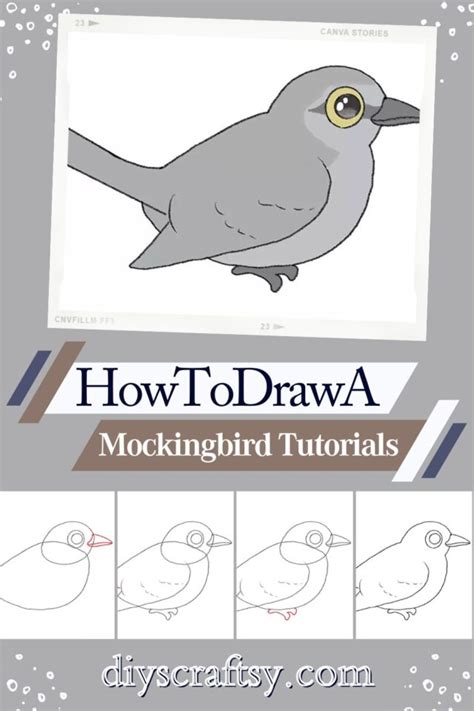 10 Mockingbird Drawing Ideas How To Draw Mockingbird Diyscraftsy