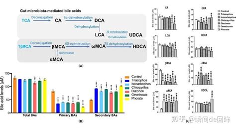 【中科院1区10 3】代谢组 微生物组｜农科院王静and金茂俊研究团队基于体外发酵模型揭示有机磷农药对肠道微生物和胆汁酸代谢的影响 知乎