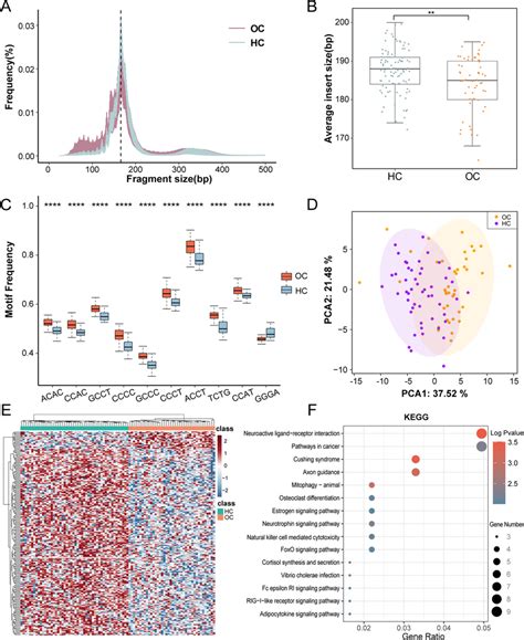 Model Construction Of Genomic Features A Fragment Size Distributions Download Scientific