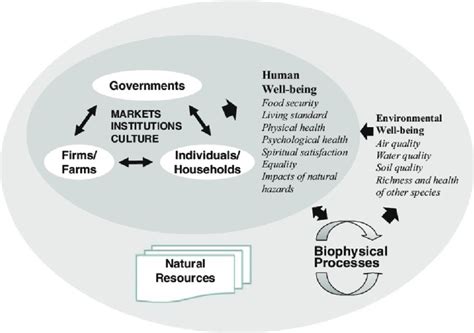2 complex adaptive systems and a sustainability framework tian 2017