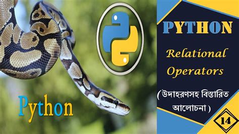 Relational Operators In Python Python Tutorial In Bengali 14 Youtube