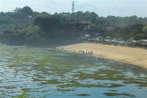 Premium Photo Beach Beauty