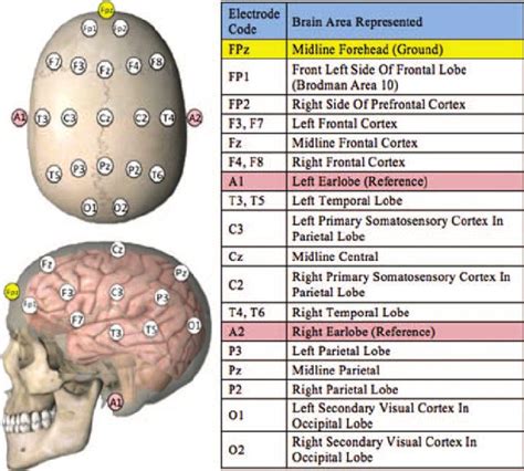 Anurag Mukati On Linkedin Brainmapping Neuroscience Eeg Qeeg