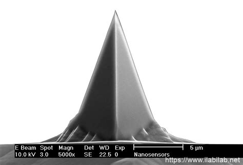 Xy Alignment Compatible Coated Afm Tips Buy Discount Xy Alignment Compatible Coated Afm Tips