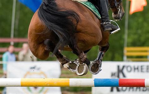 И снова с Новым Годом! С Новым счастьем!: abrod — LiveJournal