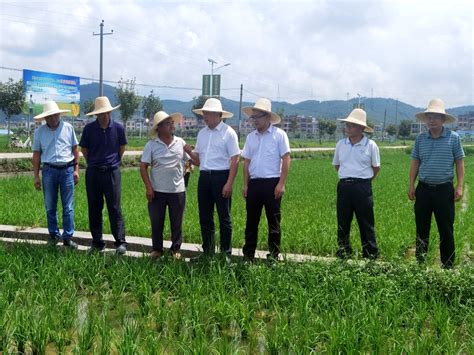 自治区农业农村厅调研组到八步区开展土壤肥料及土壤三普工作调研 贺州 广西壮族自治区农业农村厅
