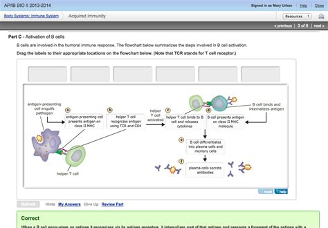 Mastering Biology Mastering Biology Immune System Part C