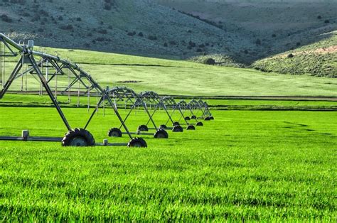 Premium Photo Garden Automatic Irrigation System On A Green Grass