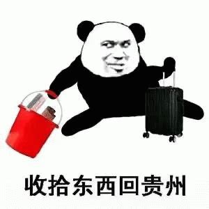 熊猫人收拾东西回贵州表情包图片gif动图 求表情网 斗图从此不求人