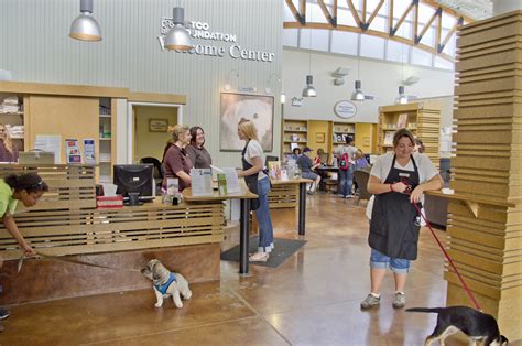 Pippen Fasseas Adoption Center Paws Chicago