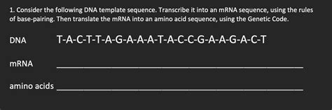 Solved 1 Consider The Following Dna Template Sequence