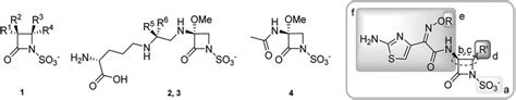 General Structure Of A Monobactam 1 Sulfazecin Or Sq 26 445 2 R 5 Download Scientific