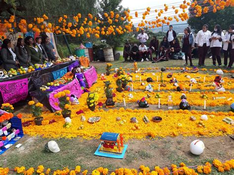 Cbt No 4 Texcoco Cbt No 4 Texcoco Oficial Aviso