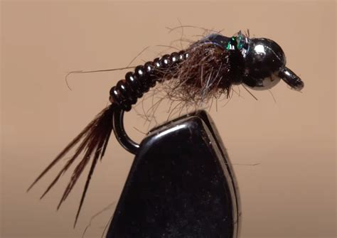 Video How To Tie The Sr2 Nymph Orvis News