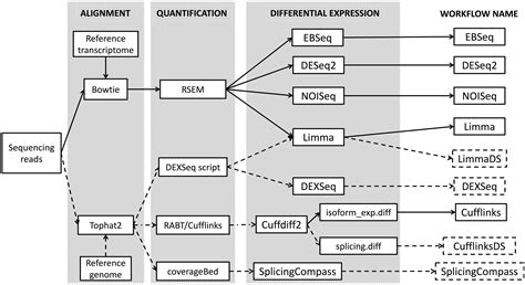 Best Practices And Appropriate Workflows To Analyse Alternative And