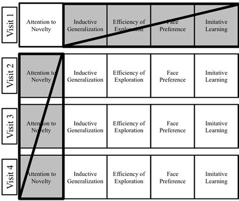 Visual Depiction Of Coding Procedure Coders Coded No More Than One