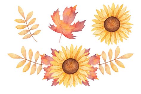 단풍잎이 있는 해바라기의 가을 구성 요소를 분리합니다 프레임 배너 계절 휴일 디자인입니다 추수감사절 컨트리 웨딩 10월에 대한 스톡 벡터 아트 및 기타 이미지 Istock