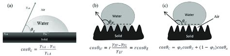 Illustration Of The Young A Wenzel B Cassie Baxter C Wetting Download Scientific Diagram