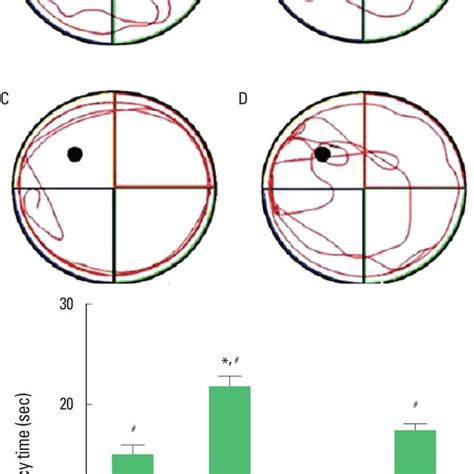 effect of treadmill exercise on spatial learning ability a