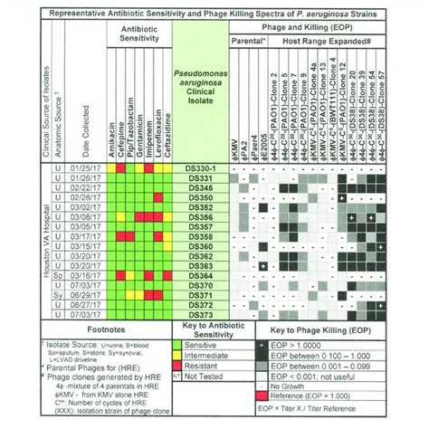 Ab Summary Of Characterization Of Pseudomonas Aeruginosa Phages Download Scientific