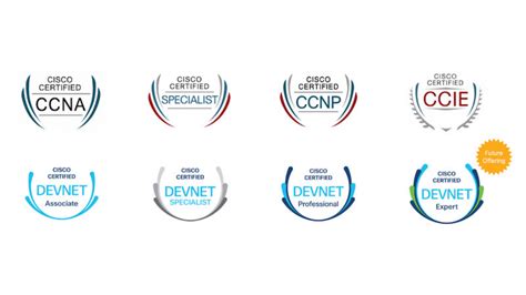 Net Vs CCNA Which Course Is The Best For Your Career