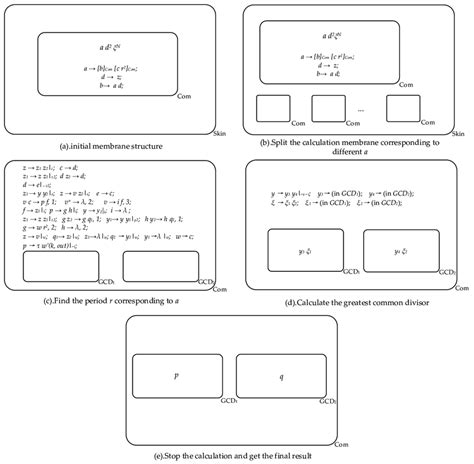 Steps For Solving A Large Number Of Decompositions Using The P System