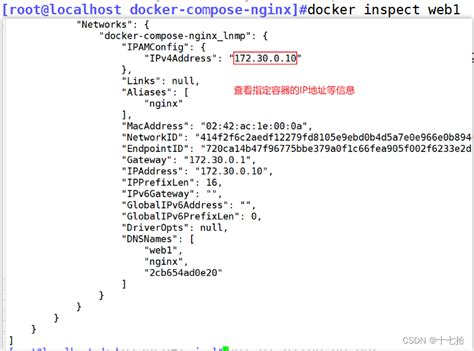 Docker Compose概述与简单编排部署