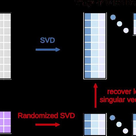 Graphical Depiction Of Randomized Svd From 26 Download Scientific Diagram