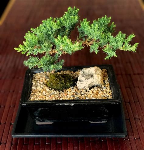 The Useful Raspberrypi Cross Compile Guide By Alex Cu Medium