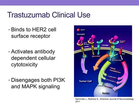 Trastuzumab Pptx